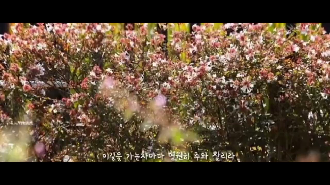 최용덕곡3집 우리가 걷는 이 길 Youtube