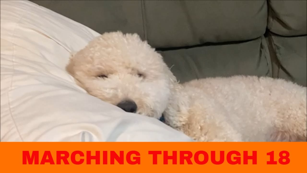 Marching Through 18: Marbles - YouTube