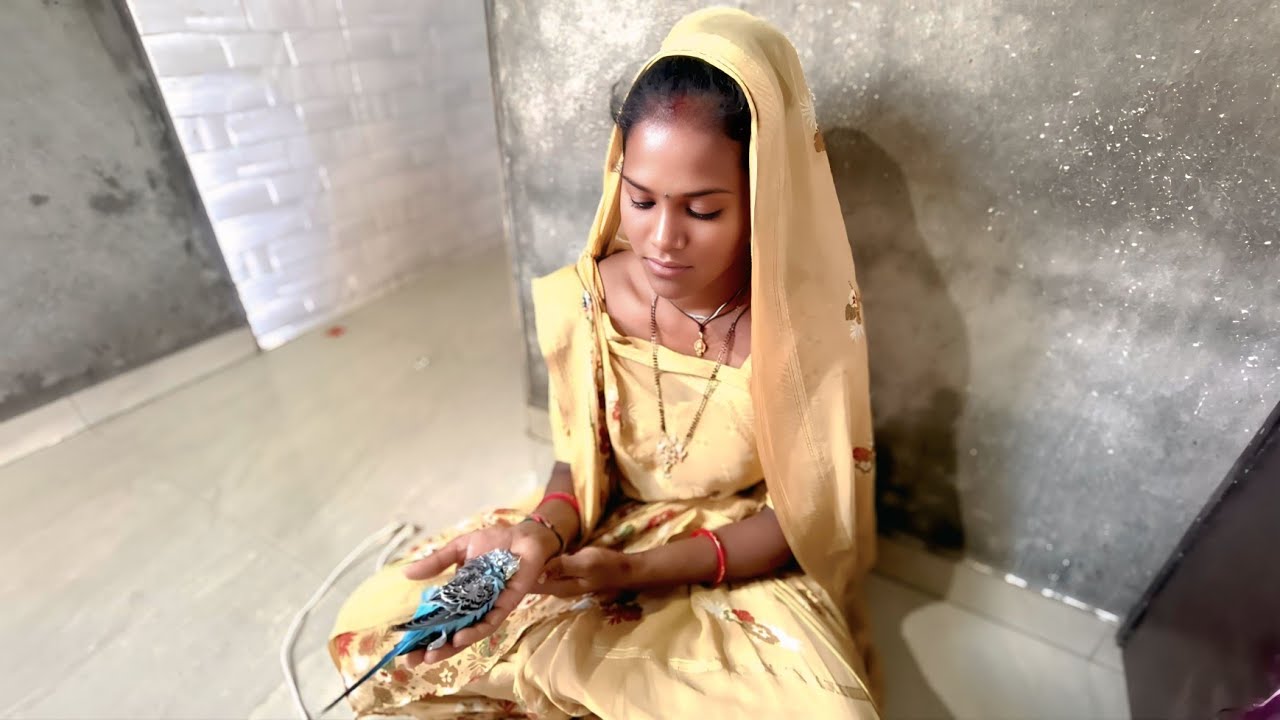 Amari Love Bird 🐦 Ne Shu Thayu Hache 😥 ? - YouTube