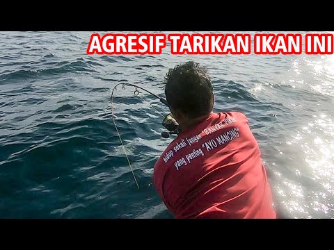 MANCING DI SPOT JANDA MUDA  AUTO PANEN STRIKE