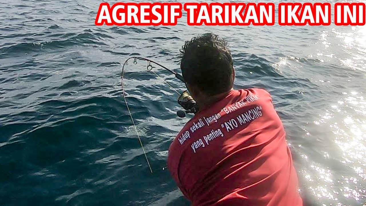 MANCING DI SPOT JANDA MUDA AUTO PANEN STRIKE - YouTube