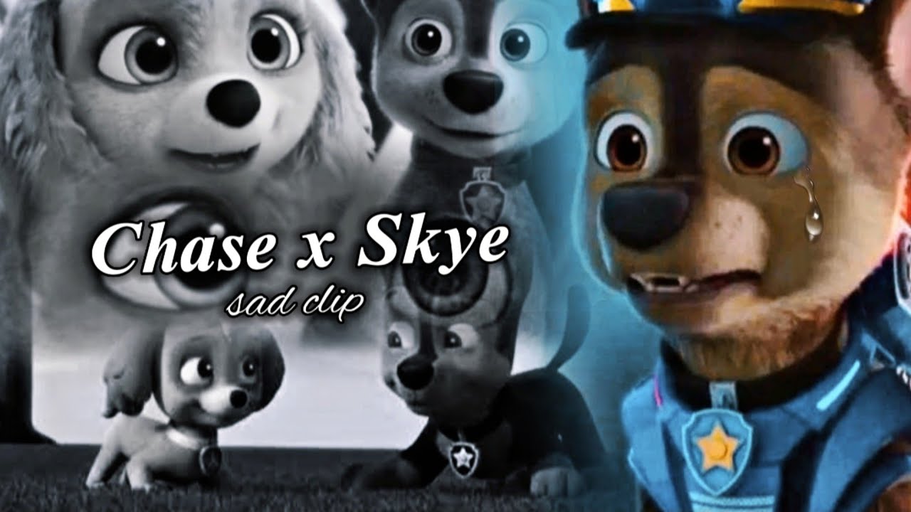 NWS98 Chase x Skye ~ Sad Song (Paw Patrol) - YouTube