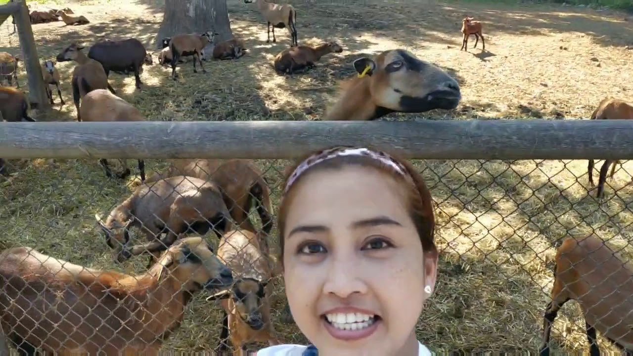 Wild Park Tour Part 2 ( Zoo ) in Poing Germany 2020 - YouTube