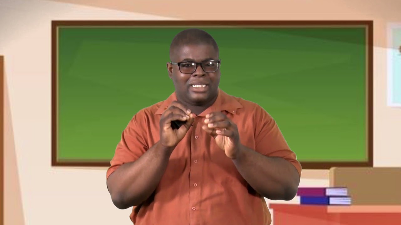 English Language - Grade 7: Summary Writing - Choosing Main Ideas - YouTube