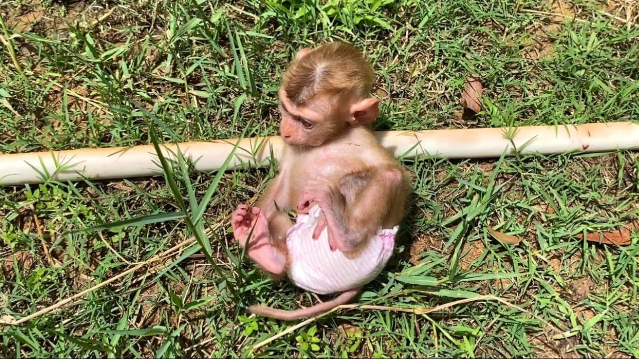 Dramaa Tourtour Dramatic Sleep On Earth Want Mom Comfort & Huq - YouTube