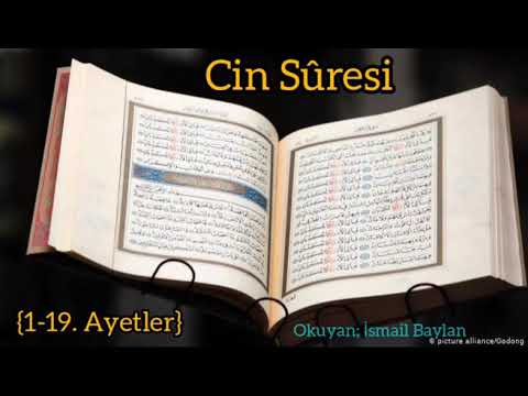 Cin Sûresi (1-19. Ayetler) سورة الجن
