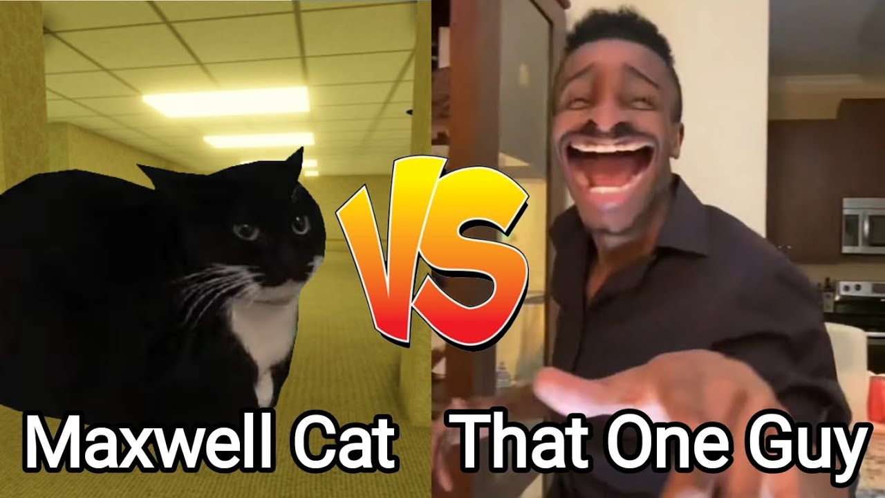 Maxwell The Cat Vs That One Guy | Side by Side Comparison - YouTube