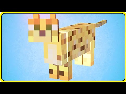Minecraft: 5 CURIOSIDADES SOBRE A LEOPARDO DO MINECRAFT! (OCELOT) - YouTube