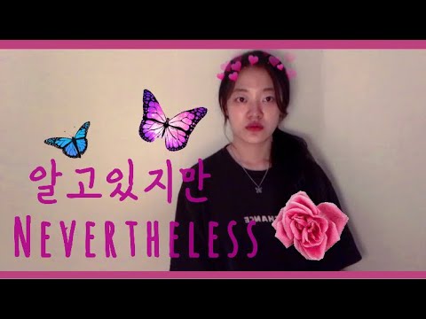 Night off - 알고있지만 (Nevertheless) Cover by. 이현영 - YouTube