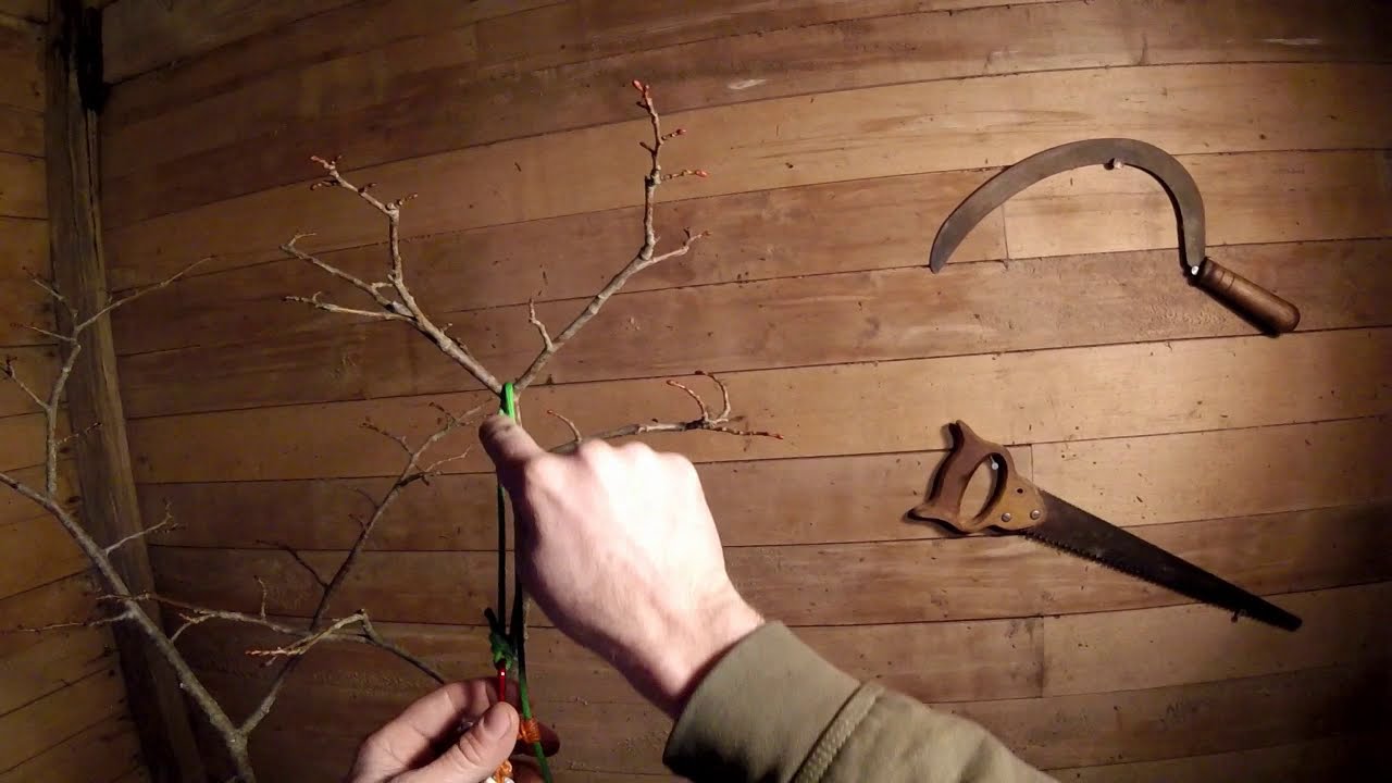 Tree Climbing Systems DdRT vs. SRT - YouTube