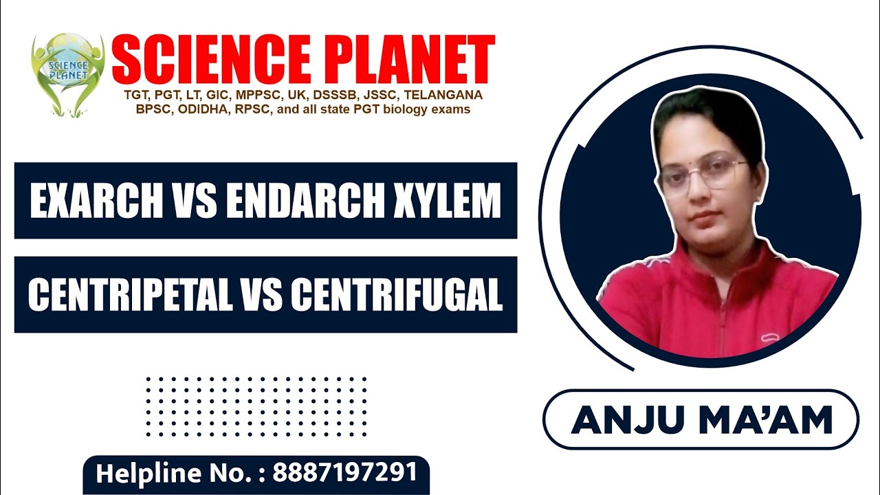 Exarch Vs Endarch Xylem and Centripetal Vas Centrifugal by Anju Mam on ...