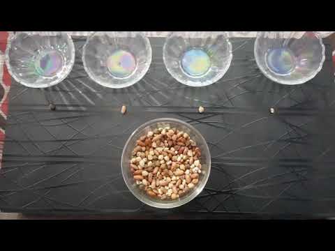 Sorting lentils activity - YouTube