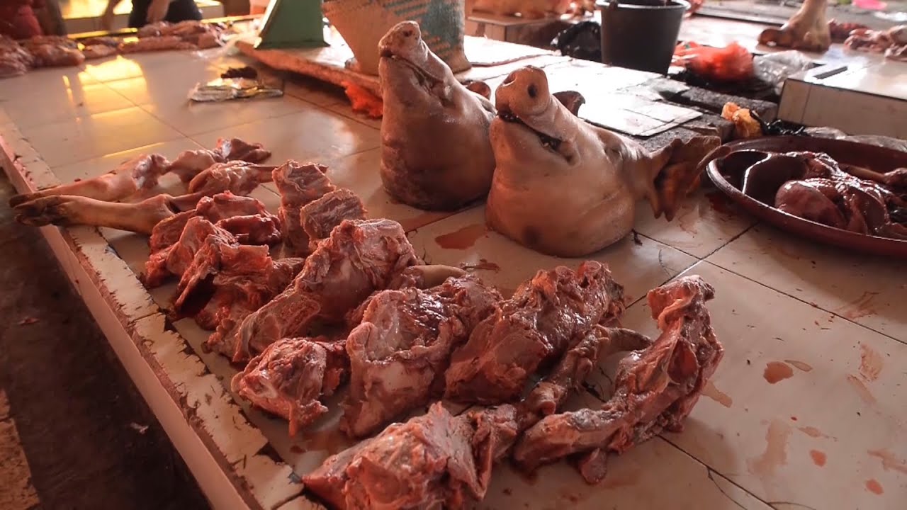 Burned bat and barbecued dog: inside the animal markets of southeast ...