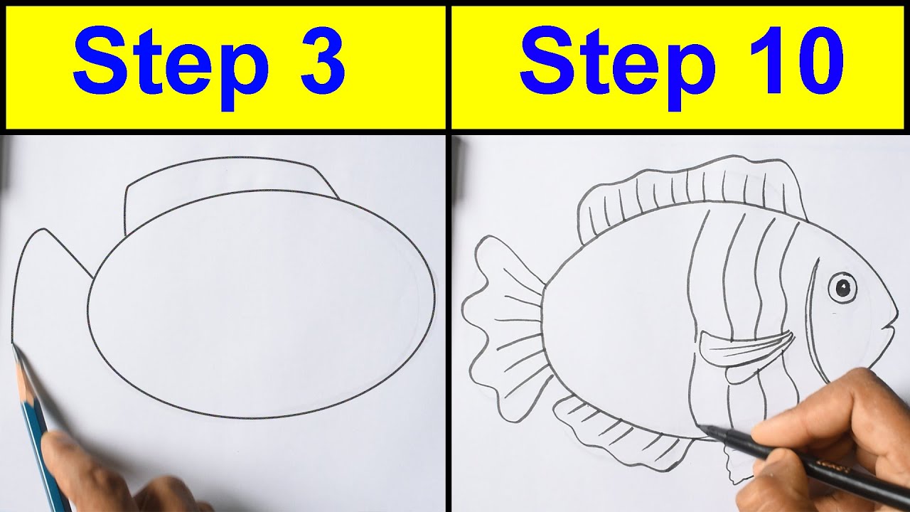 Sea Fish Drawing for beginners : Step-by-Step Tutorial - YouTube