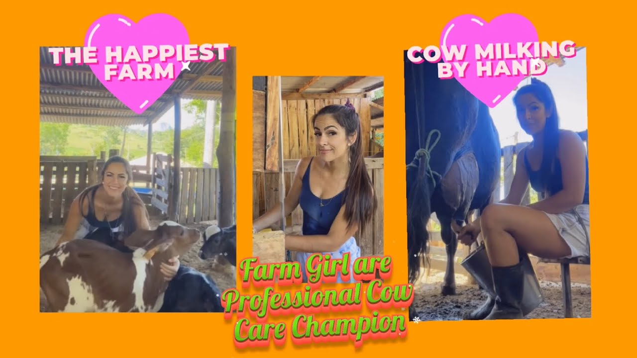 the happiest farming ️ cow milking by hand ️Hand milking technique # ...