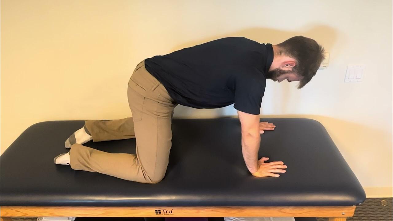 Quadruped Posterior Cuff Stretch PPT - YouTube