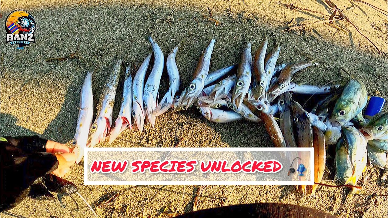 Ep.17 | New species unlocked! bulatok | Ang yaman ng spot na to! - YouTube