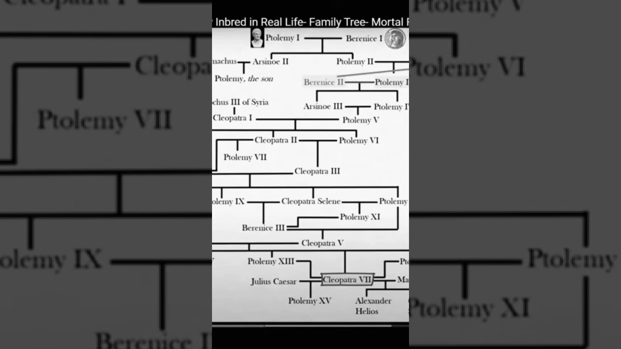 Cleopatra Family Tree - YouTube