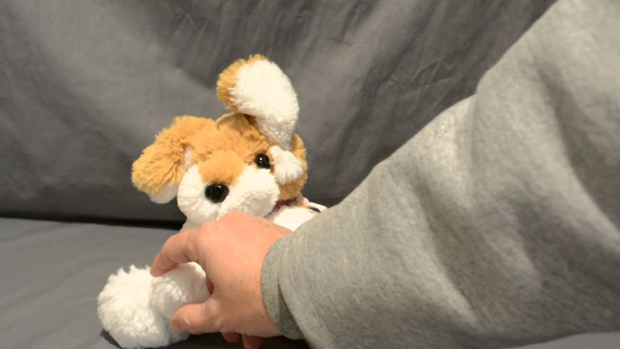 Mattel Barbie Puppy Dog Interactive - YouTube