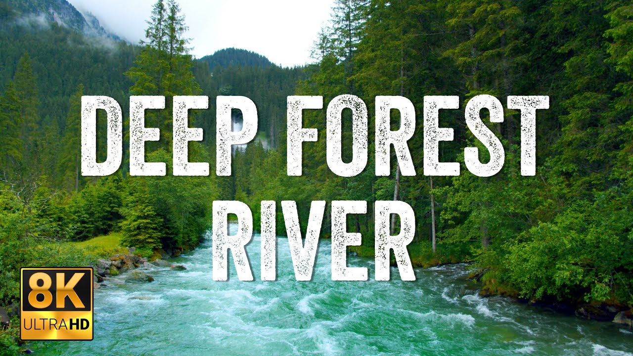 Relaxing river in deep forest - Birds singing and water sounds - ASMR ...