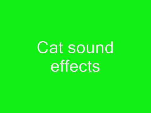 Cat sound effects (free to use) - YouTube