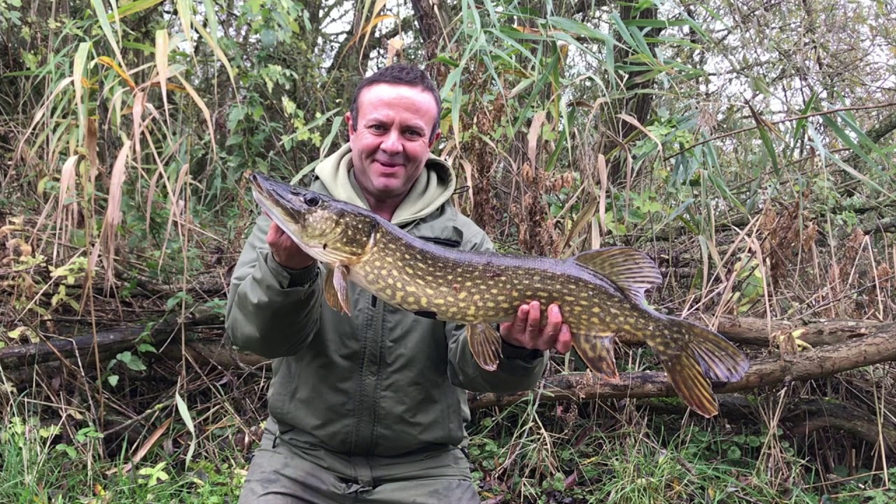 "Gravel Pit Pike Fishing" - YouTube