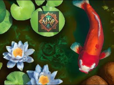 Lily Pad Pond (Free) Lo-Fi beat, Relaxing, Sleeping, Homework, And ...