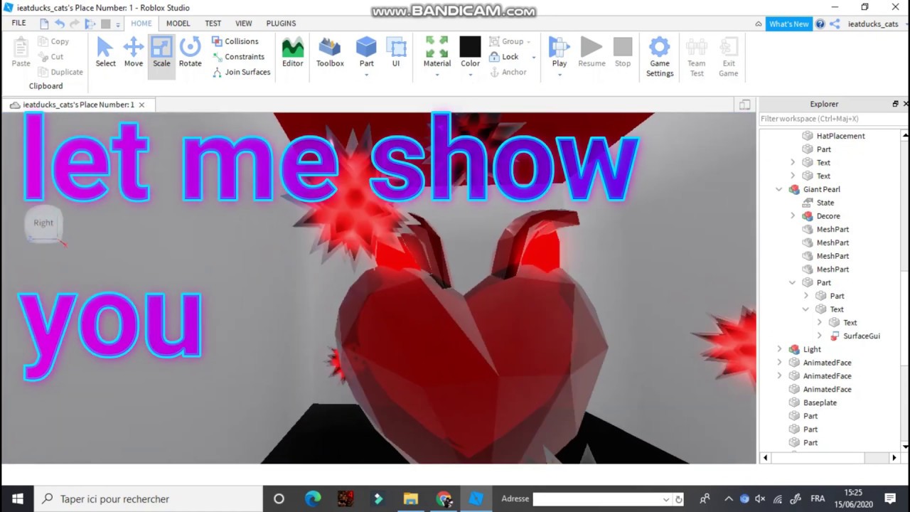 i made a bgs custom pet part 2 - YouTube