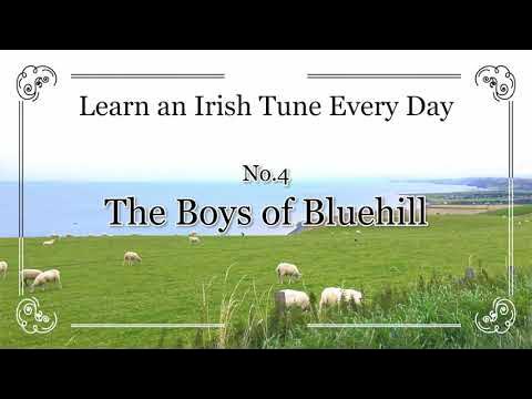 004 The Boys of Bluehill (Hornpipe, D Ionian) Learn an Irish Tune Every ...