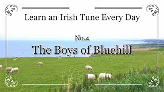 The Boys Of Bluehill (hornpipe) on The Session