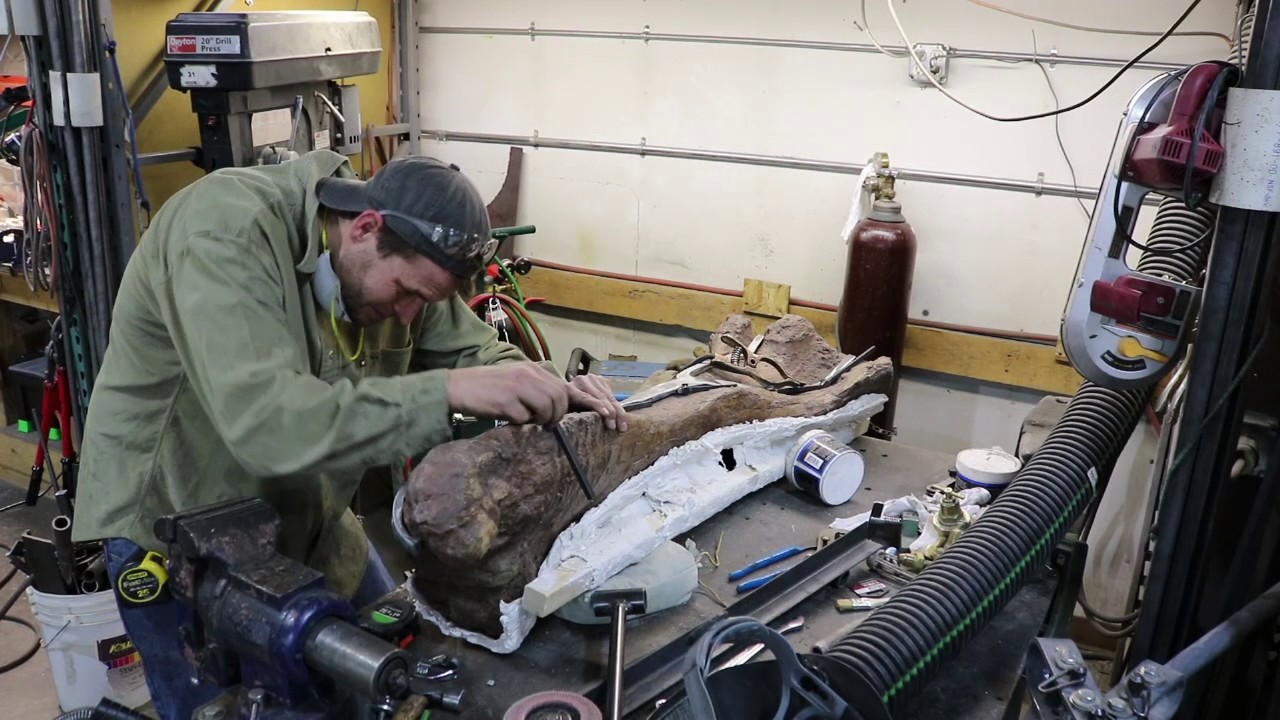 #34 Mounting Original Bones - YouTube