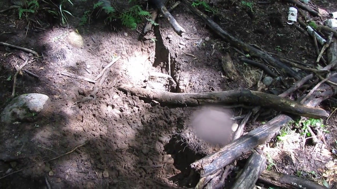 Sasquatch Tool Use - YouTube