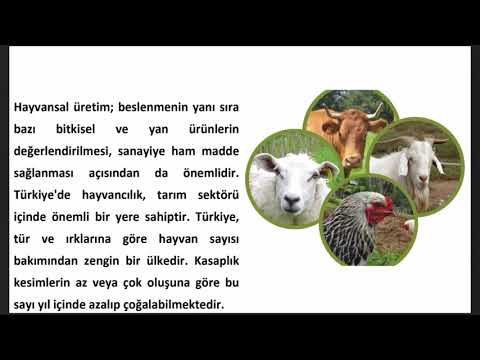 Türkiyede hayvancılık | ormancılık | tarımın ülke ekonomisindeki yeri