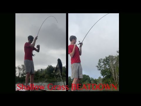 Shallow Grass BEATDOWN (chatterbait and frog fishing in thick ...