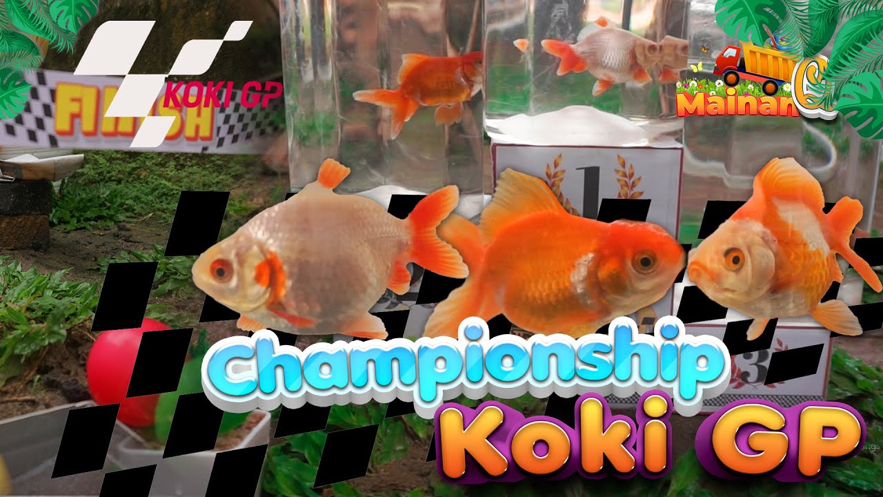 BERMAIN BALAPAN IKAN || FISH RACE !!!!! 🏍🏍😱😱😱 - YouTube