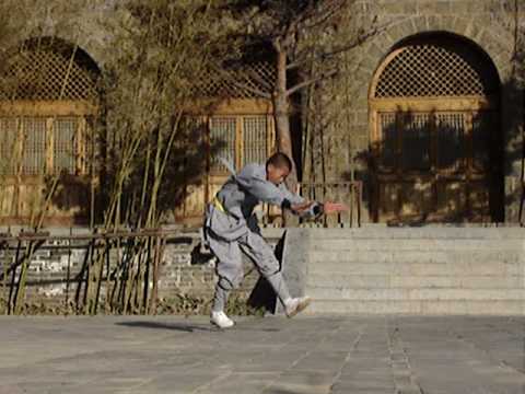 Shaolin Kung Fu - Liu Hui Ming Performing (Tang Lang Quan) - YouTube
