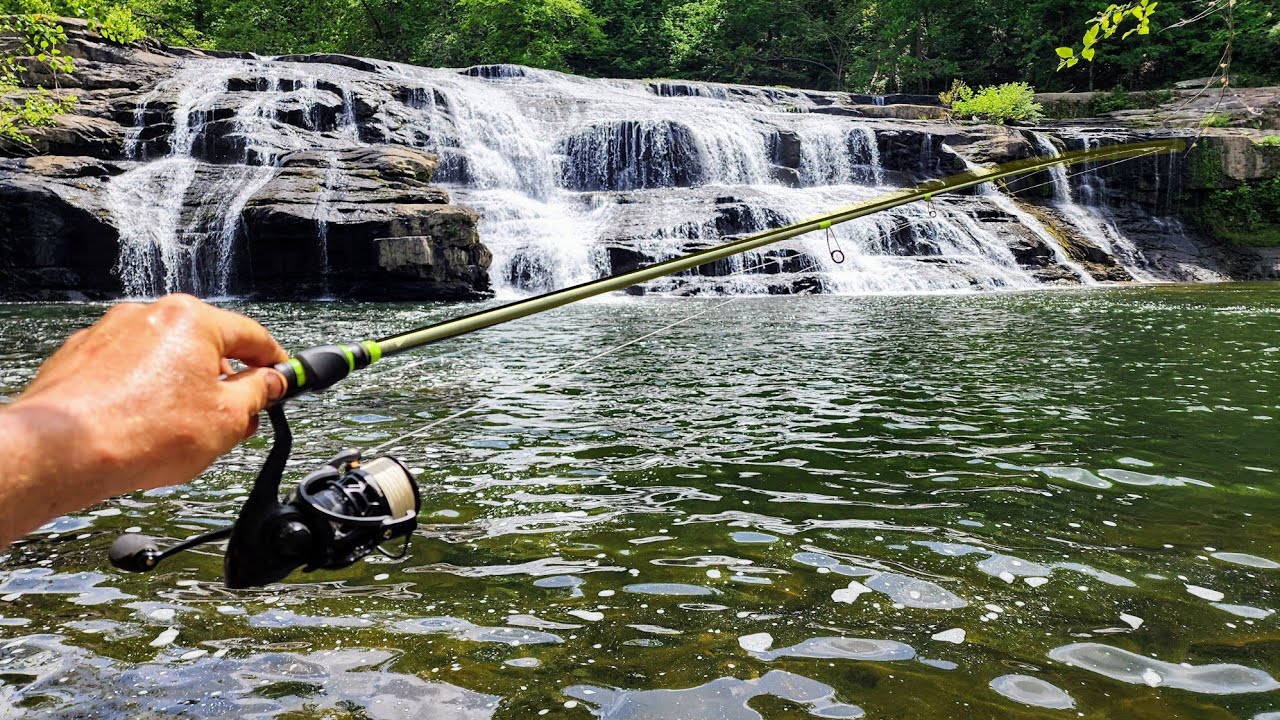 Fishing Below A 30 FOOT WATERFALL!! (New Species) - YouTube