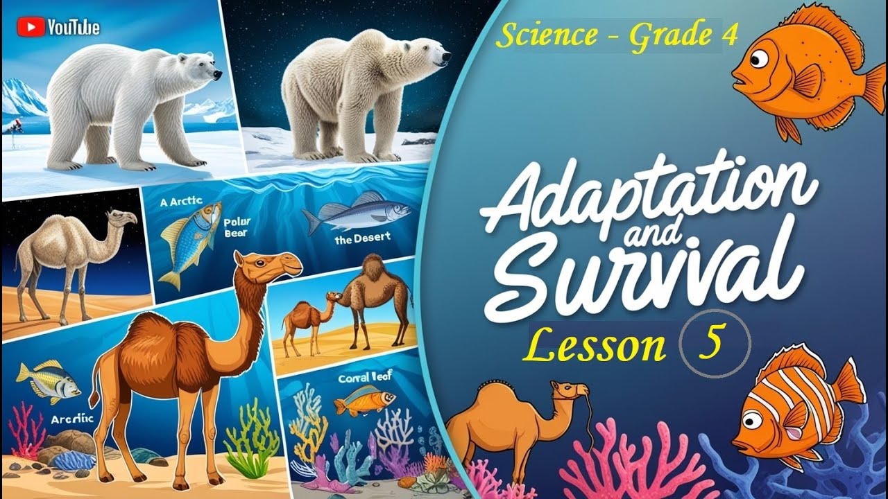 Science | Grade 4 | Adaptation and Survival | Lesson 5 | Concept 1 ...