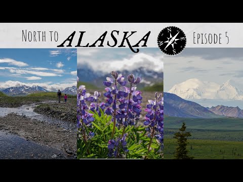 Alaska Episode 5 - Denali National Park and Talkeetna - YouTube