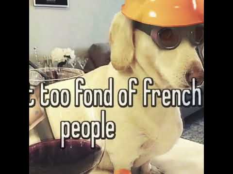 I not too fond of French people (TF2 MEME) - YouTube