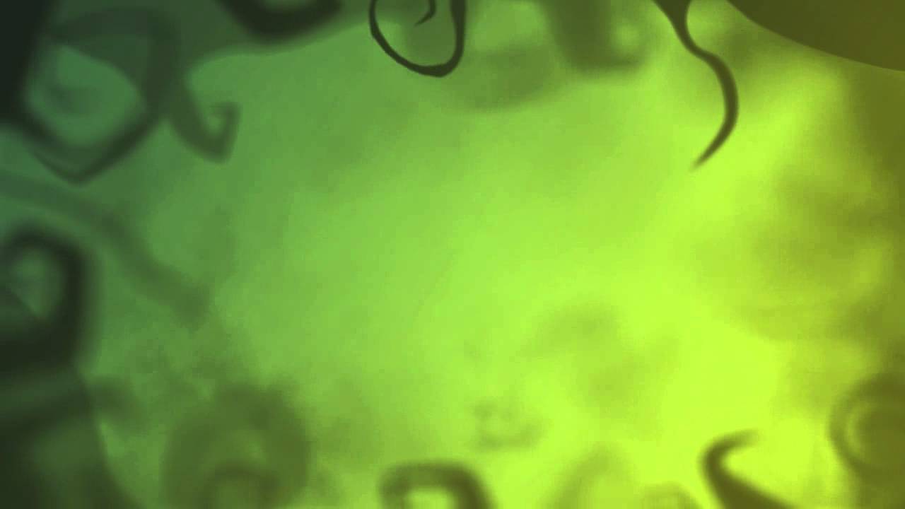 FOREST INTRO - YouTube