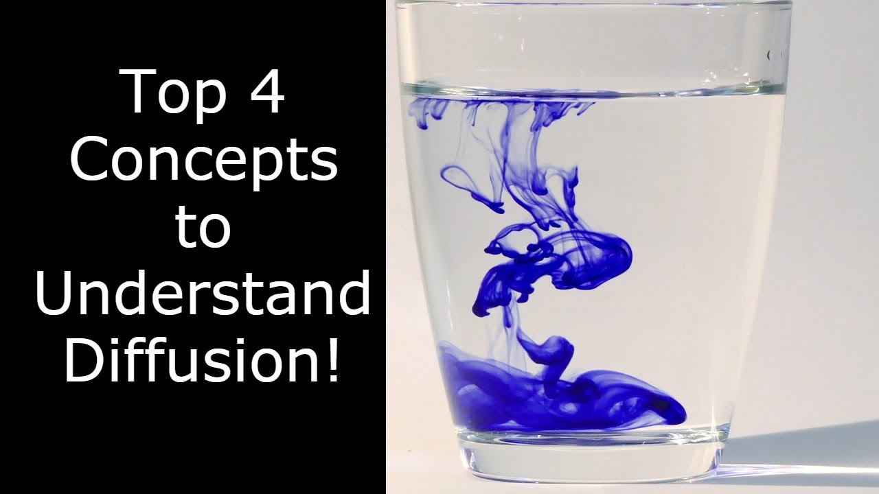 Diffusion Explained! - YouTube