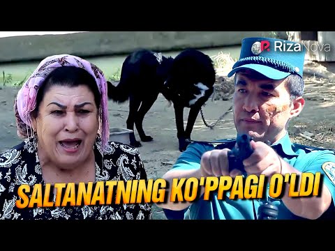 Qalpoq - Saltanatning ko'ppagi o'ldi