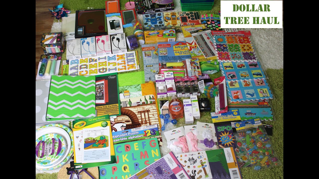 Over $100 Dollar Tree Haul August 2016 - YouTube