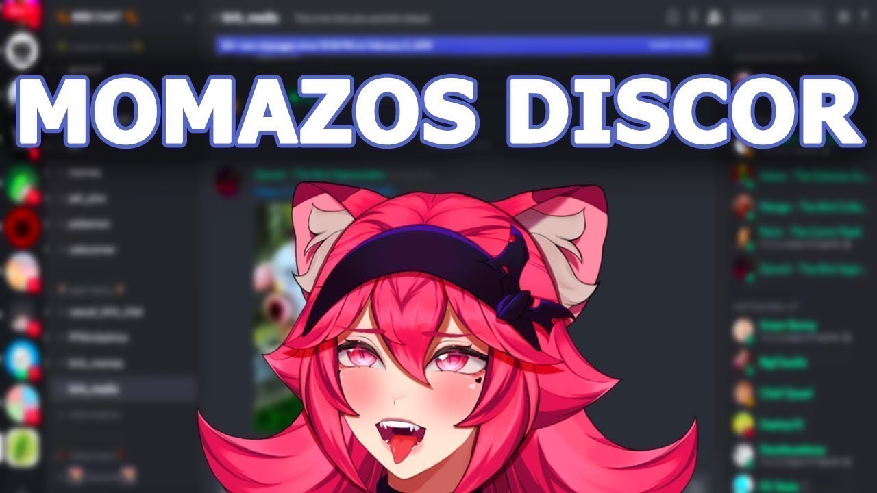 🔴 REACCIONANDO A SUS MEMES DE DISCORD - YouTube