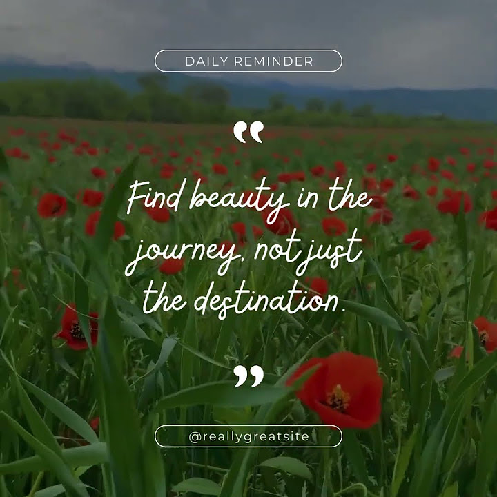 Daily Reminder - YouTube