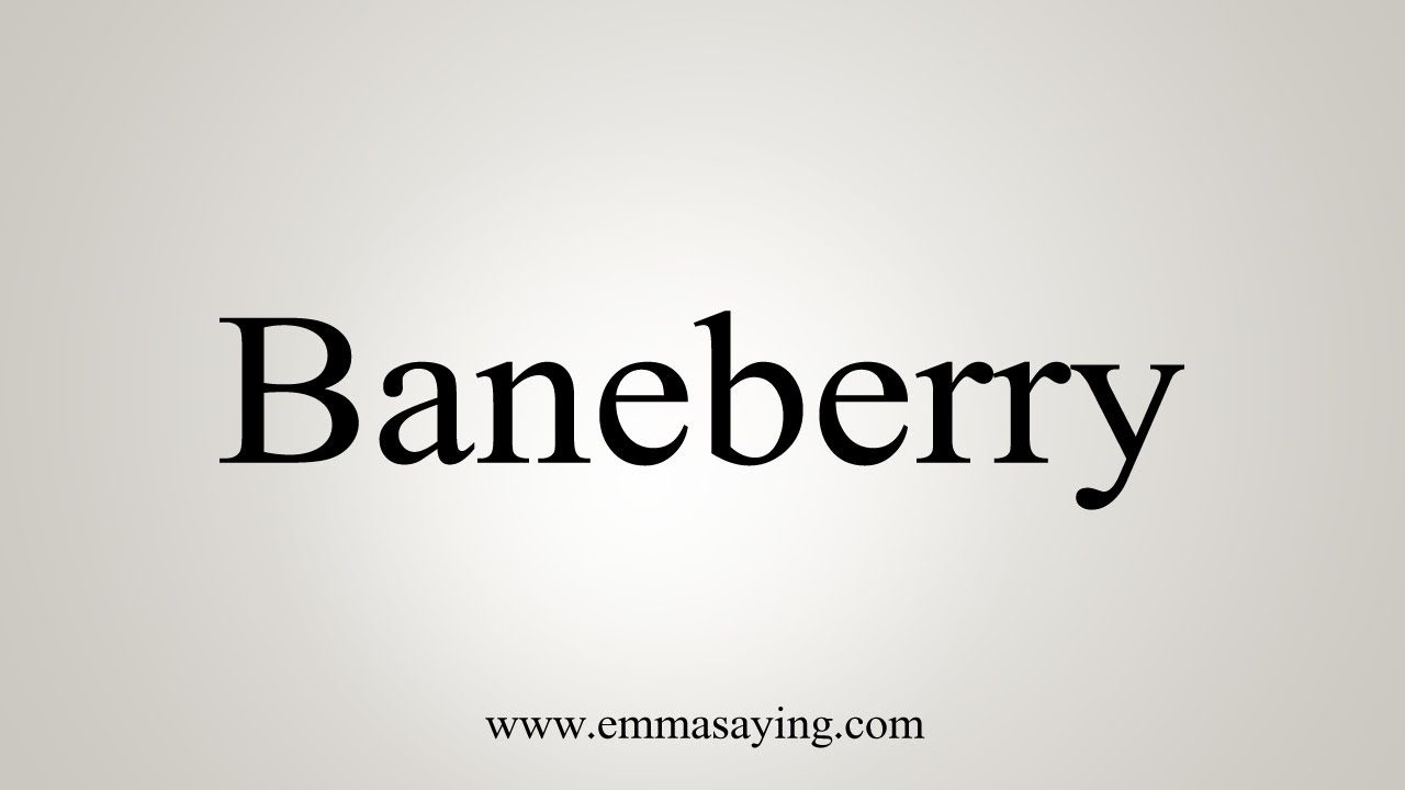 Berrybenka Logo
