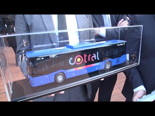 Autobuses Cotral Roma Homepage Cotral