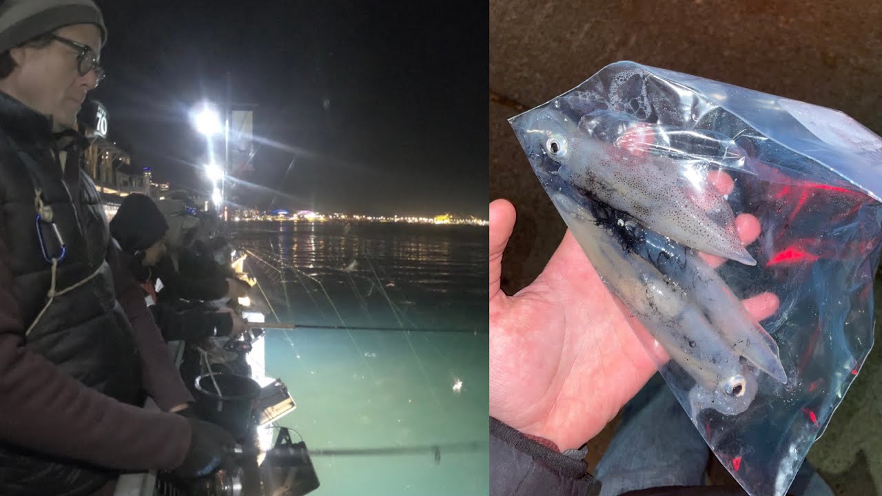 Squid Fishing in Downtown Seattle - YouTube