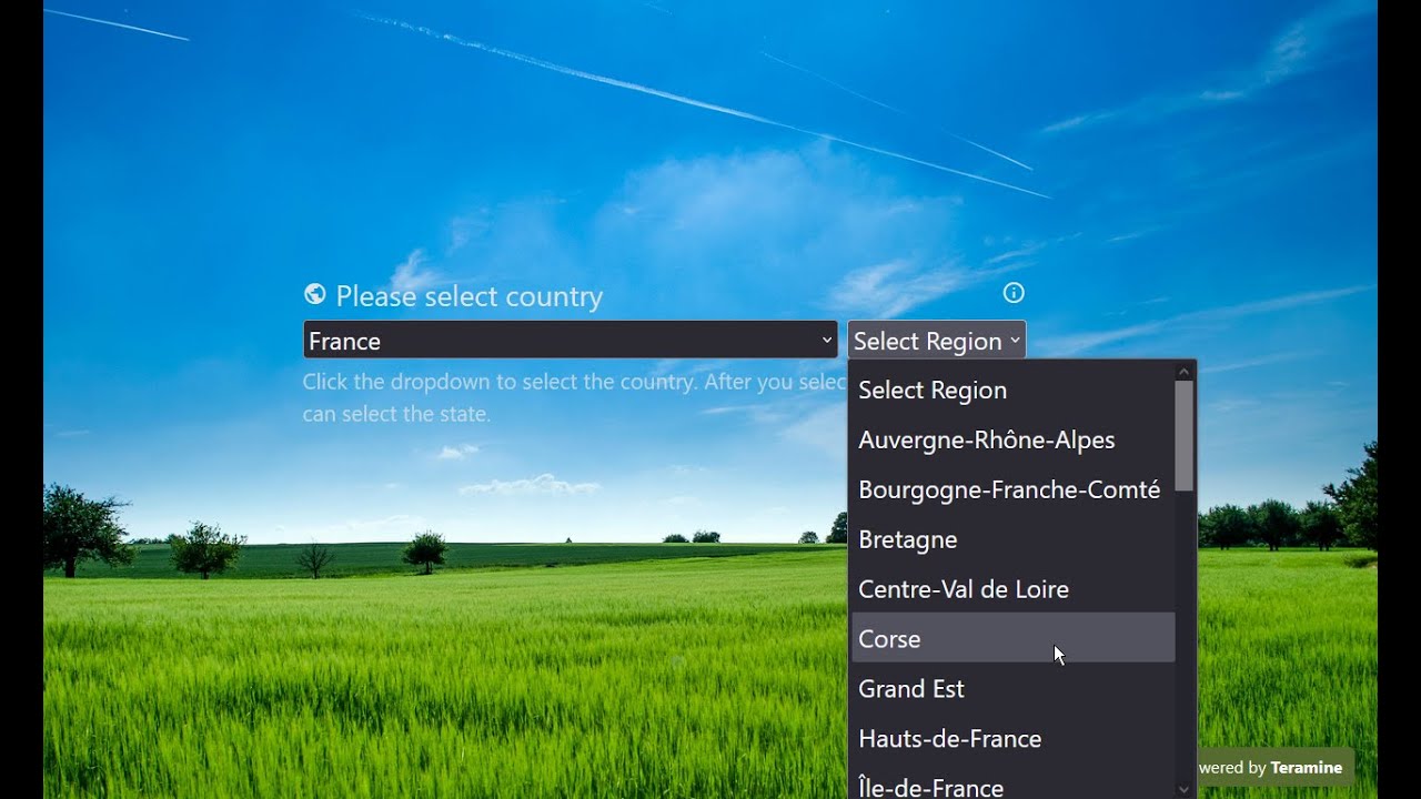 Easy country and state selection in Teramine Forms - YouTube